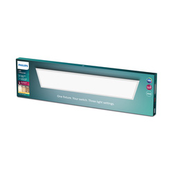 Philips CL560 Super Slim Rectangular Panel Ceiling Light 1200x300mm ...