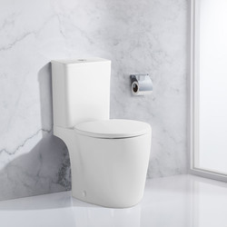 Toilets | Back to Wall & Close Coupled Toilets | Toolstation