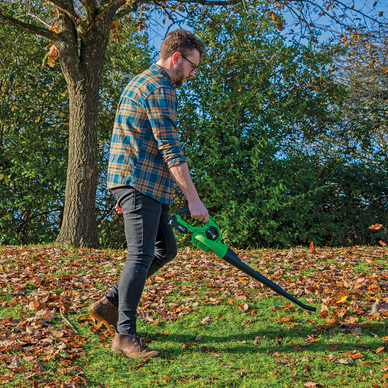 Draper Cordless D20 18V Leaf Blower 1 x 2.0Ah Toolstation
